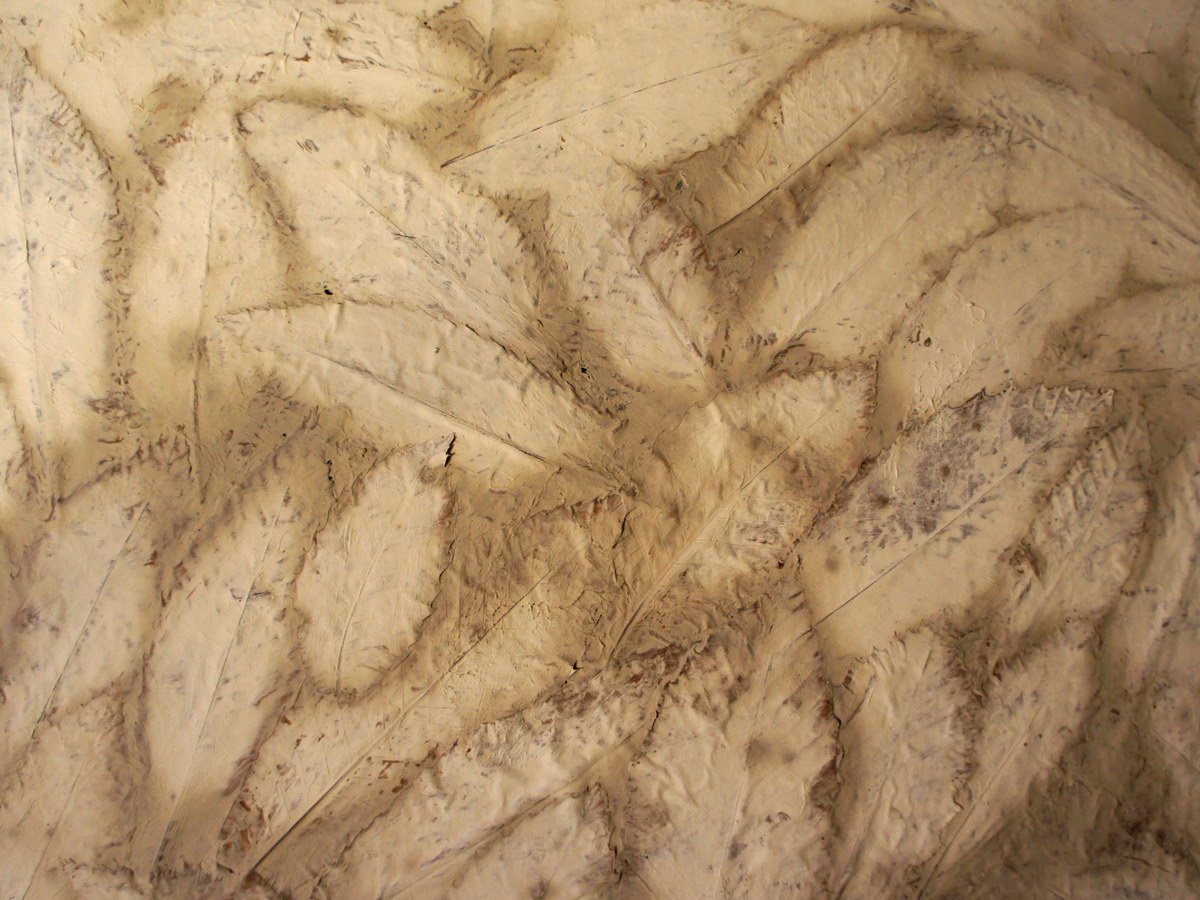 ecollo.fr - enduit argile / feuilles de châtaignier sur panneau liège